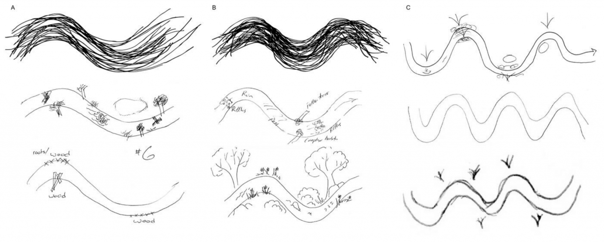 THE IDEAL MEANDER: WHY DO RIVER RESTORATION PROJECTS ALWAYS SEEK TO ...