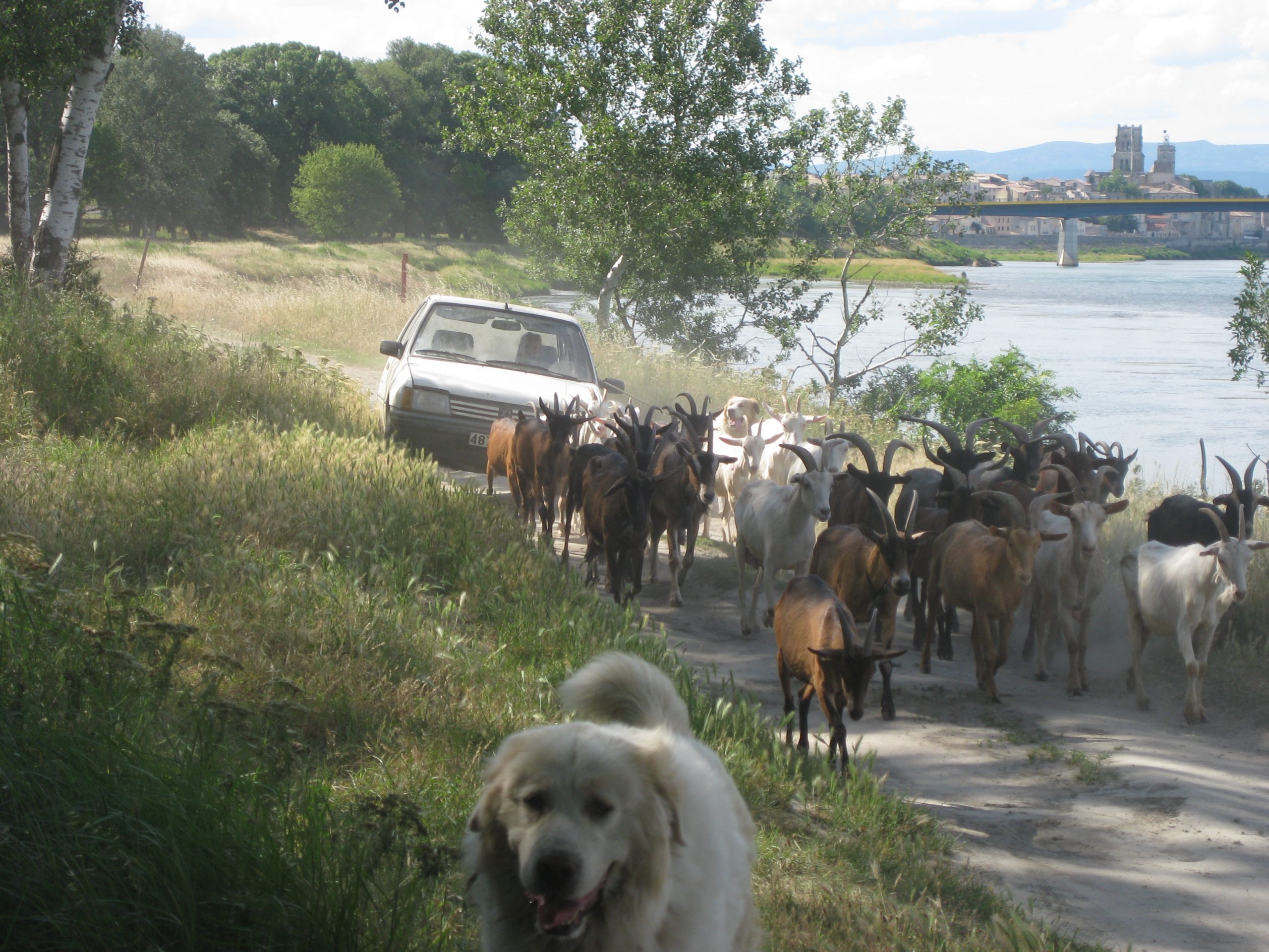 Using Nature for Flood Risk Management: Public Engagement & Conflicts