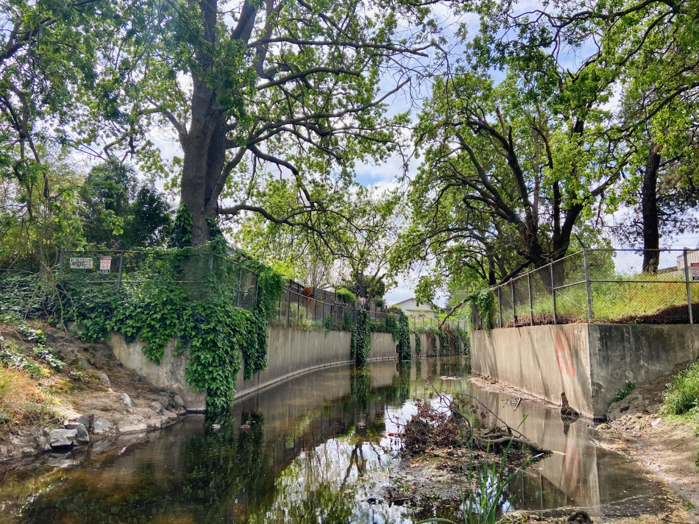 Restoring Concrete Channels to Creeks